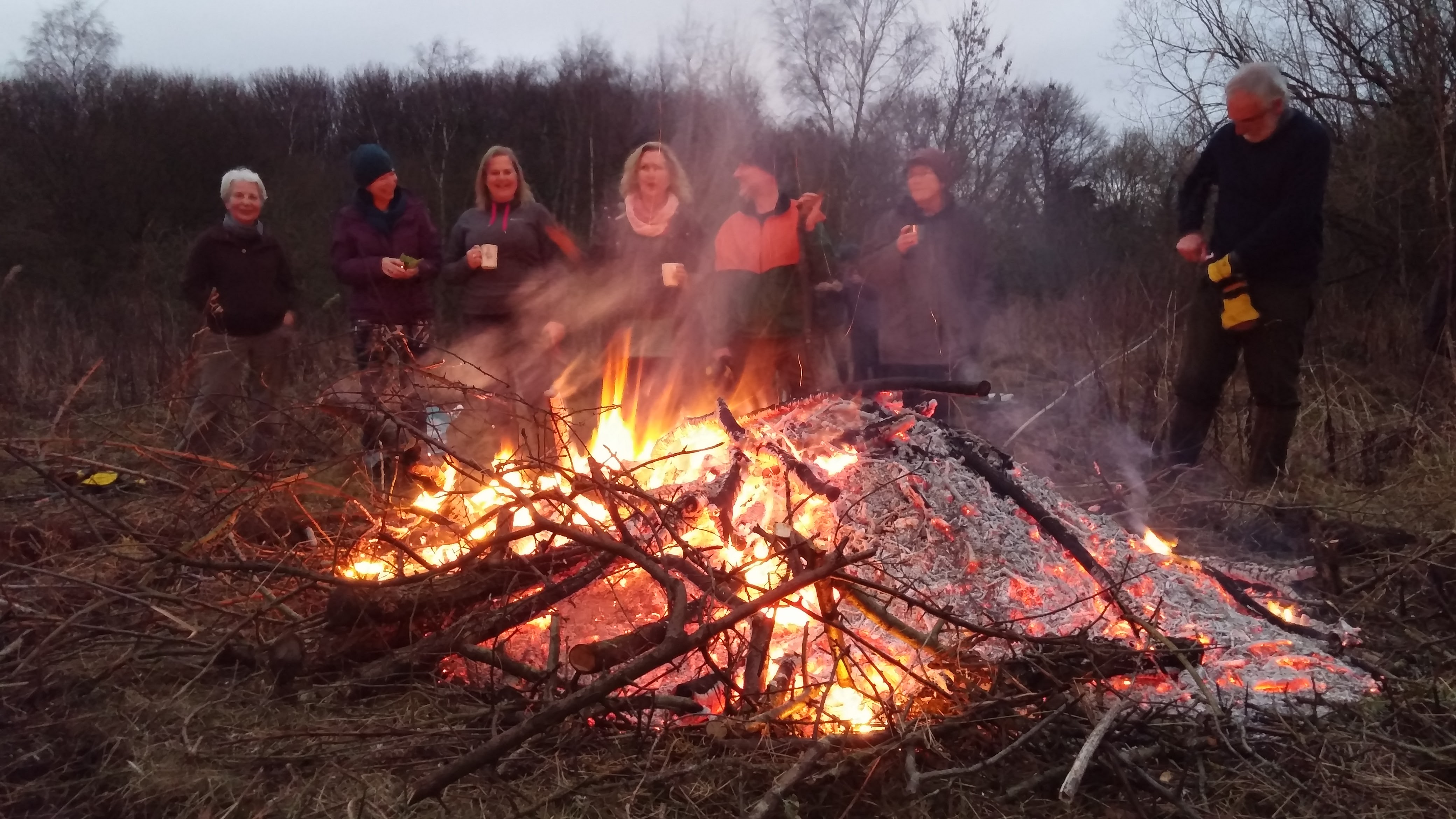 Brash Burning Bonfire | Clara Vale Conservation Group