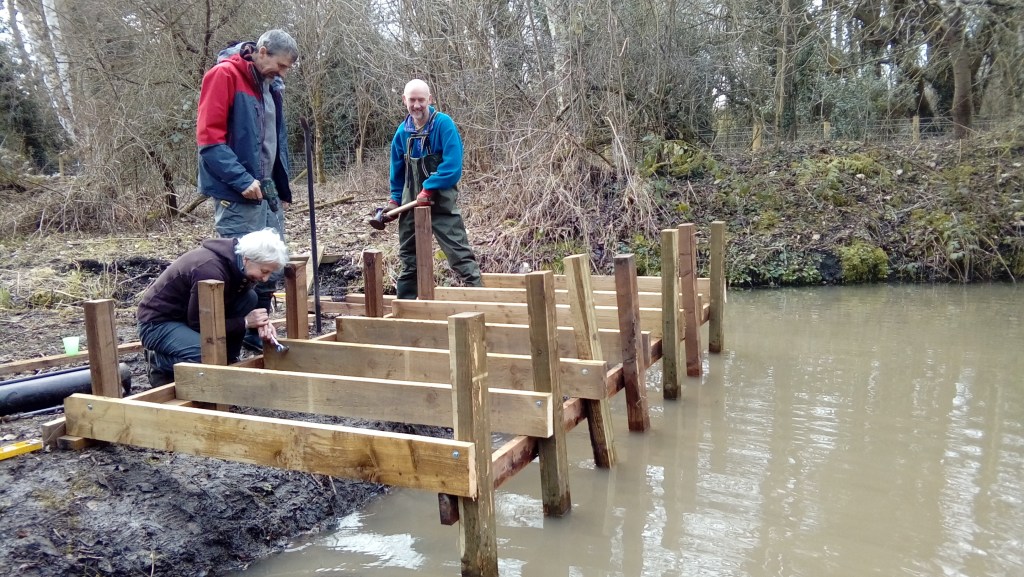 CVCG Projects | Clara Vale Conservation Group